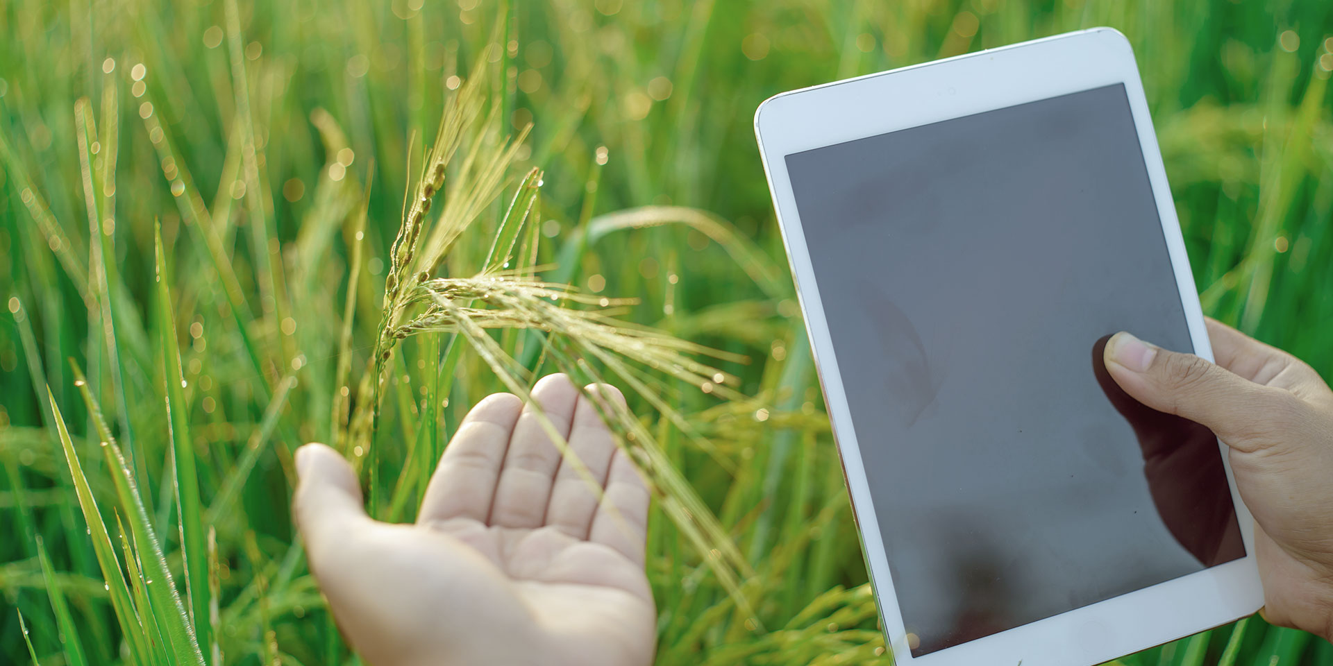 Club agriculture connectée - FDSEA de la Marne